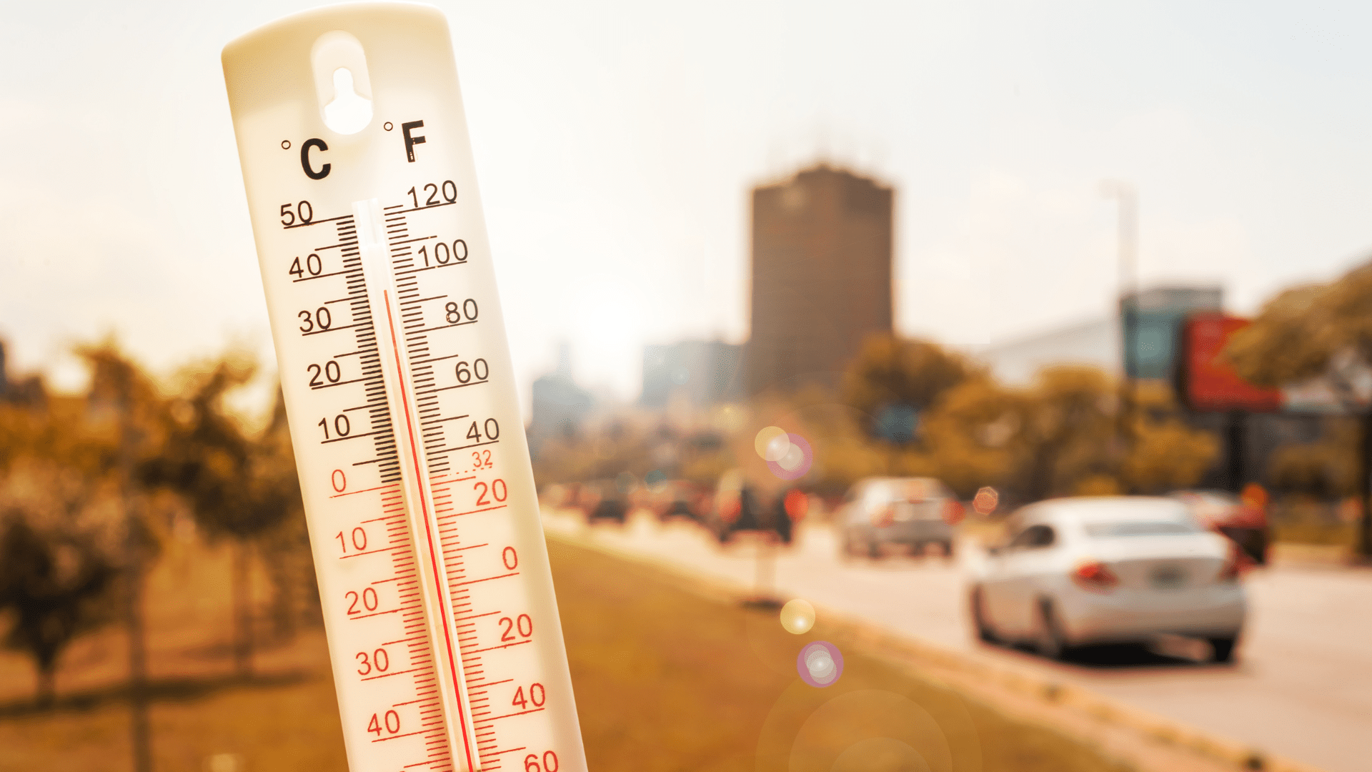 12 Ways to Shield Your Car's Paint from California's Harsh UV Rays ...